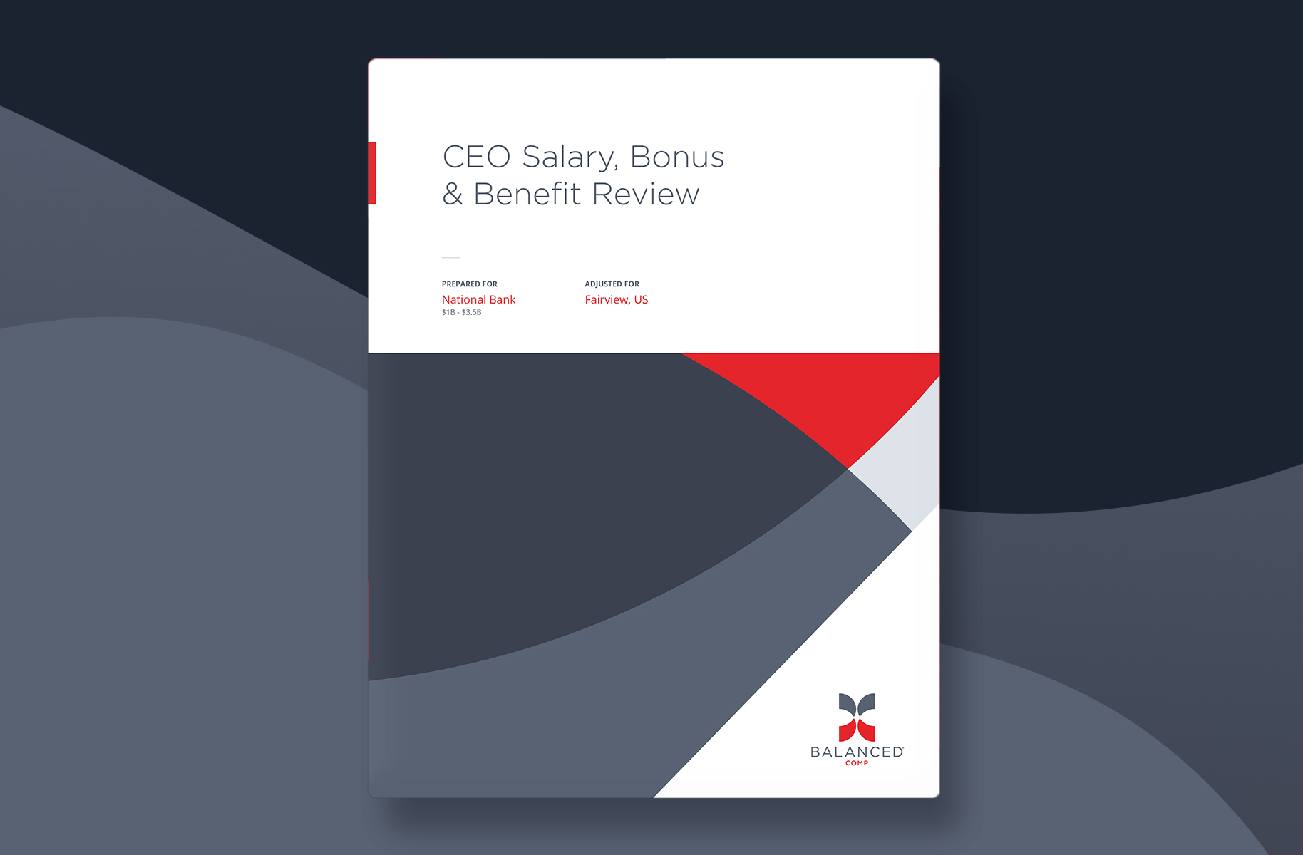 CEO Compensation Report | BalancedComp